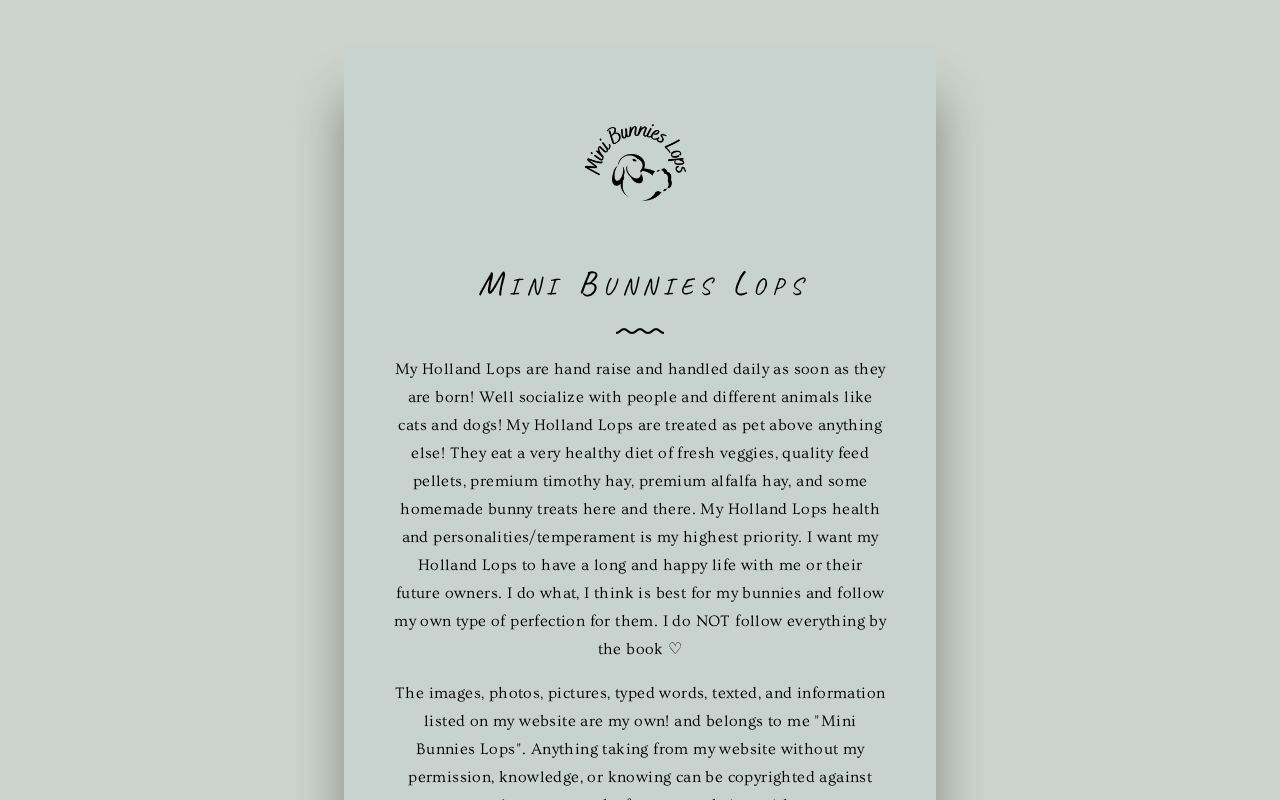 Mini Bunnies Lops